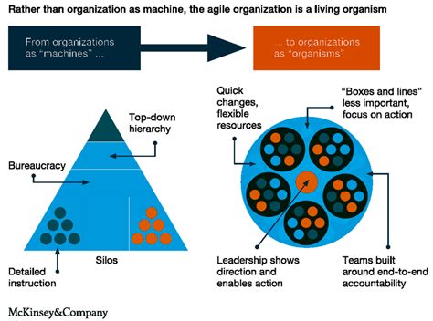 3 The Agile Organisation Is Dawning As The New Dominant Organisational Download Scientific