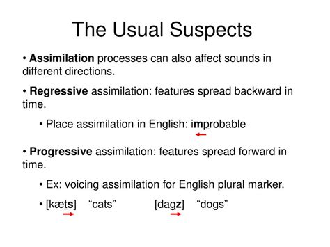 PPT Phonology Part V Rules Syllable Structure PowerPoint Presentation ID