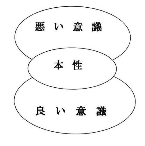 是の霊の核には、本性、その他、 気憶 、 意識 が含まれており、それ等は、霊核の中心部の本性を取り捲く情報なり 。（ここで下図を示された）