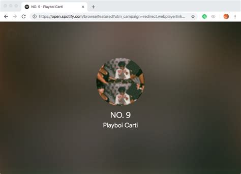Spotify Audio Visualizer Mac Easeero