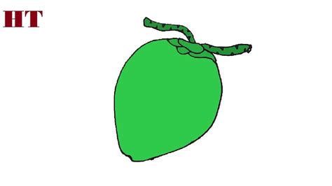 How To Draw A Coconut Easy With This How To Video And Step By Step Drawing Instructions How To