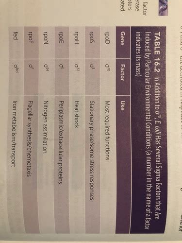 Lecture Flashcards Quizlet Lecture Flashcards Quizlet