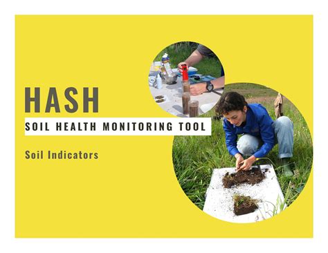 Soil Hash Soil Land Food