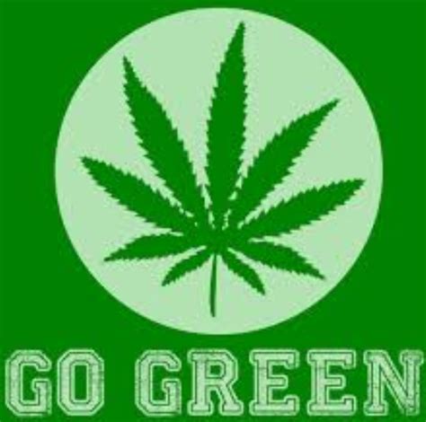 Physical Contract Notes Zerodha Trading Qanda By Zerodha All Your Queries On Trading And