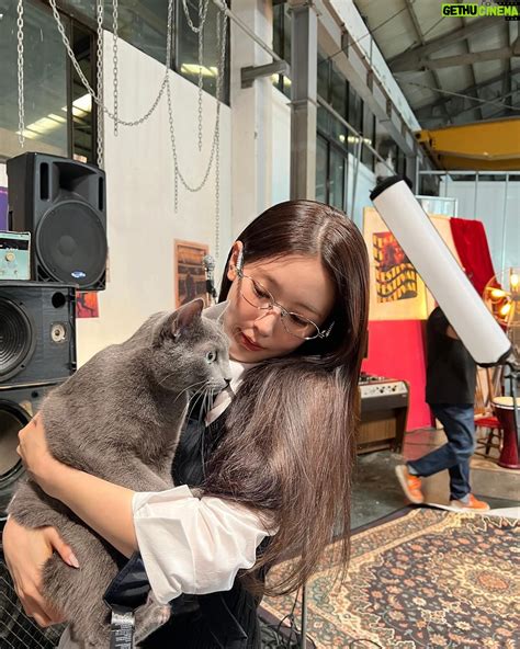 Actress Cho Mi Yeon Hd Instagram Photos And Wallpapers June Gethu Cinema