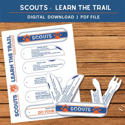 Majority Vs Plurality Voting Explained Ultimate Scouts Majority Vs Plurality Voting Explained Ultimate Scouts