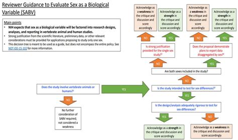 The Promises And Pitfalls Of Sex Difference Research Abstract Europe PMC