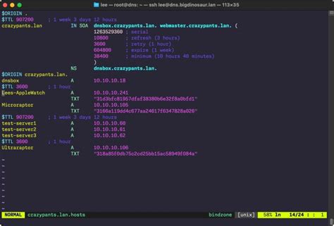 Doing DNS And DHCP For Your LAN The Old Waythe Way That Works Ars Technica