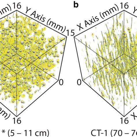 Three Dimensional Visualization Of The Extracted Pore Network For A Download Scientific