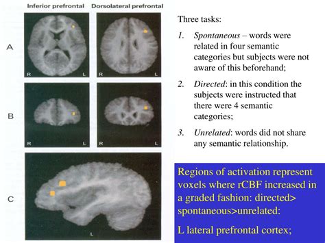 Ppt Distinct Memory Systems Mediating Declarative Emotional And Procedural Memory Functions