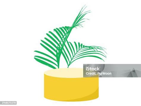 제품 연단 무대 야자수 잎 배경입니다 연단 프레임 빈 무대 코코넛 잎 배경입니다 연단 프레임 무대 코코넛 잎 배경입니다 연단 무대 프레임 종려 나뭇잎 배경 벽지 빈 연단