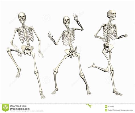 Bind Pose Skeletal Animation At Kate Gates Blog