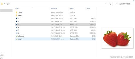 基于模糊c均值聚类（fcm）的图像分割原理 python代码详解 fcm代码 csdn博客