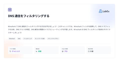 Wireshark で Dns 通信をフィルタリング Labex