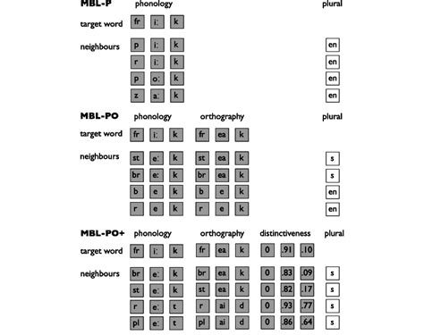 Information Representation In The Memory Based Learning Models Used In