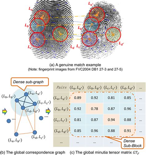 Illustration Of Global Minutia Tensor Matrix The Fingerprint Images