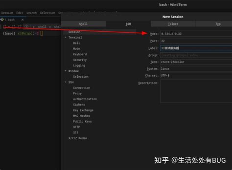 Windterm SSH Sftp Shell Telnet Serial 客户端 知乎