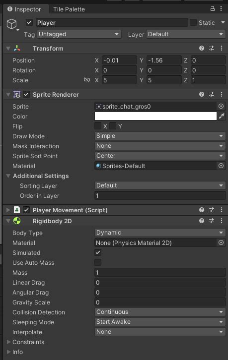 Small Bug I Need Help Runity2d