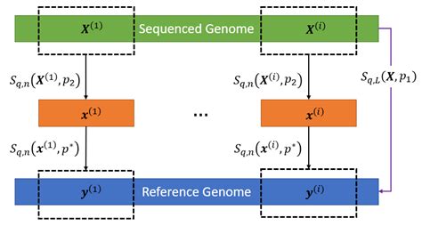 Left Dna Reads Generated As Fragments Of A Genome Right