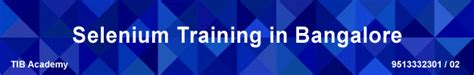 Selenium Training In Bangalore Selenium Training Institutes In Bangalore
