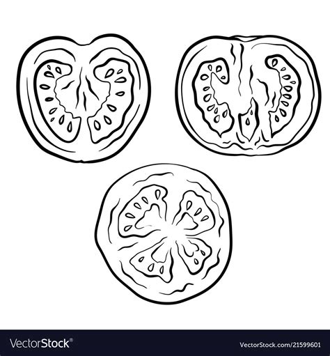 Как нарисовать дольку помидора Фотоподборки 1