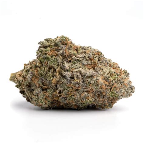 Best Weed Strains For Sex Elevate Your Intimacy With VICESNOB