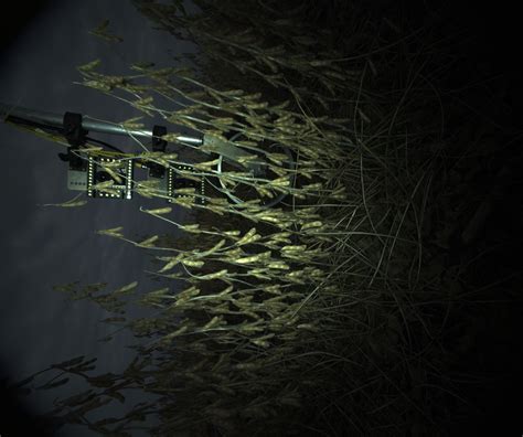 Soybean Seed Full Object Detection Dataset By My Dataset