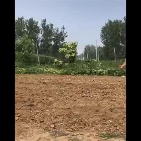 Reference For Animators Lol Keyframes Animation Animator Characteranimation 3danimation