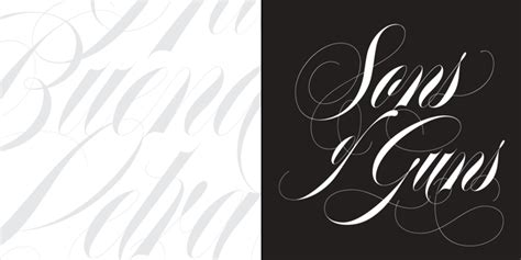 Erotica Font Webfont Desktop MyFonts