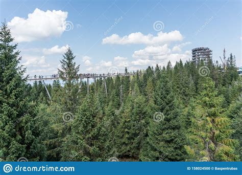 The Treetop Walk Bachledka In High Tatra Mountains Editorial Image Image Of Mountains Tatra
