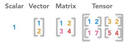 1 Pengertian Scalar Vector Matrix Dan Tensor Machine Learning