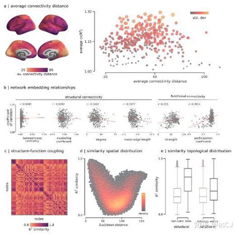 Time Resolved Structure Function Coupling In Brain Networks 待修改 知乎