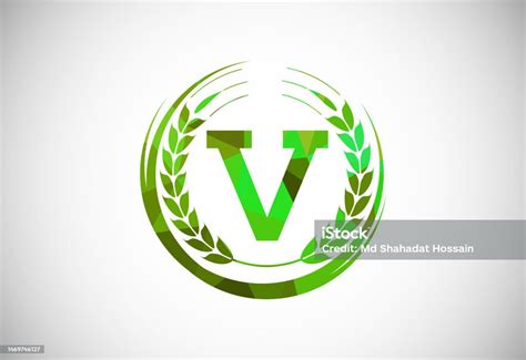 알파벳 V 기호와 밀 화환 다각형 낮은 폴리 유기농 밀 농업 로고 개념 농업 로고 디자인 벡터 템플릿입니다 개념에 대한 스톡 벡터 아트 및 기타 이미지 Istock