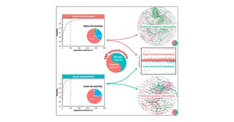 Interactive Effects Between The Bio Reactivity Continuum And The Ecological Role Of Soluble