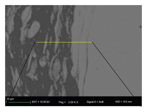 An Interlaced Structure On The Al Cu Interface A Interface Feature Download Scientific