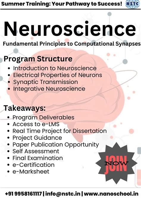 Nano Science Technology Consortium On Linkedin Neuroscience Summerinternship Brainresearch