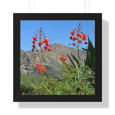 Mexican Birds Of Paradise Tucson Framed Art Print Southwest Inspired
