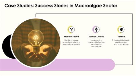 Macroalgae Nutrient Rich Superfoods For Health And Sustainability Ppt Template St Ai Ppt Sample