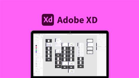 adobe xd questions appsumo