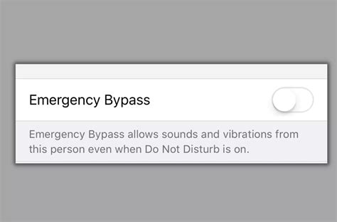 How To Enable Emergency Bypass On IPhone Pro Max