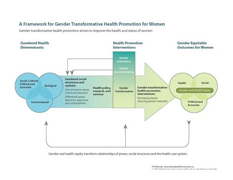 Framework For Gender Transformative Health Promotion Gender
