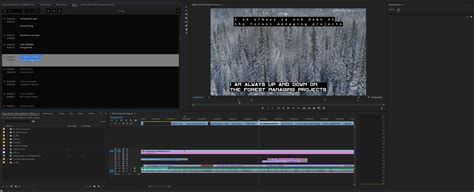 solved problem with duplicate captions after upgrading to adobe