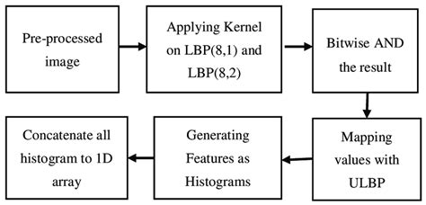 Feature Extraction Process Download Scientific Diagram