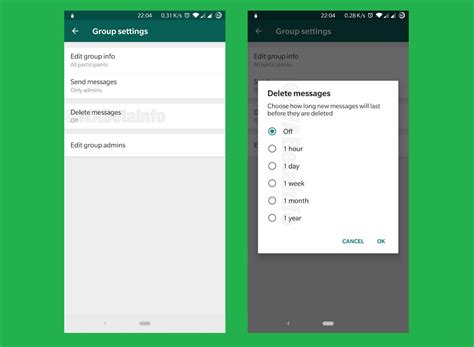 Whatsapp Testing Self Deleting Messages