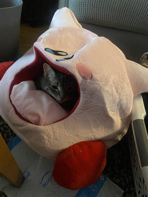 Help Kirby Ate My Cat Rkirby