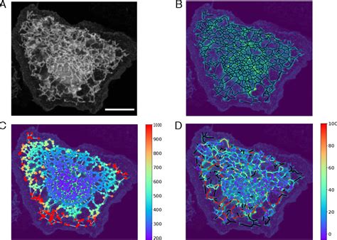 Figure 3 From Fast Solver For Diffusive Transport Times On Dynamic