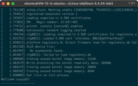 Linux 操作系统分析实验:使用 Gdb 跟踪调试 Linux 内核的启动过程 娄禹的个人博客 Linux 操作系统分析实验:使用 Gdb 跟踪调试 Linux 内核的启动过程 娄禹的个人博客