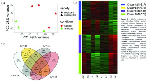 A Principal Component Analysis Of Samples From Transcriptome
