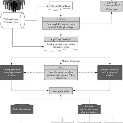 The Workflow Of This Study First The Gene Module Related To The Download Scientific Diagram
