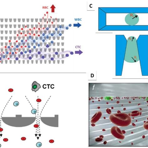 3 Emerging Microfluidic Technologies For Ctc Isolation Data Collected
